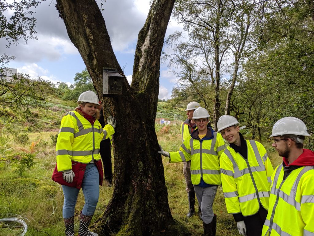 Carlisle Youth Zone Social Development Project